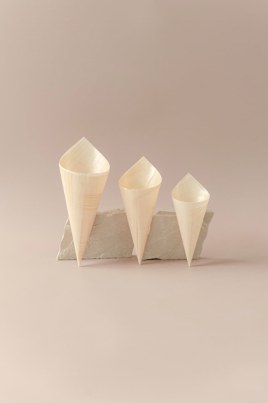 Biodegradable Confetti Cones (25 Guests) – BAM Party and Events