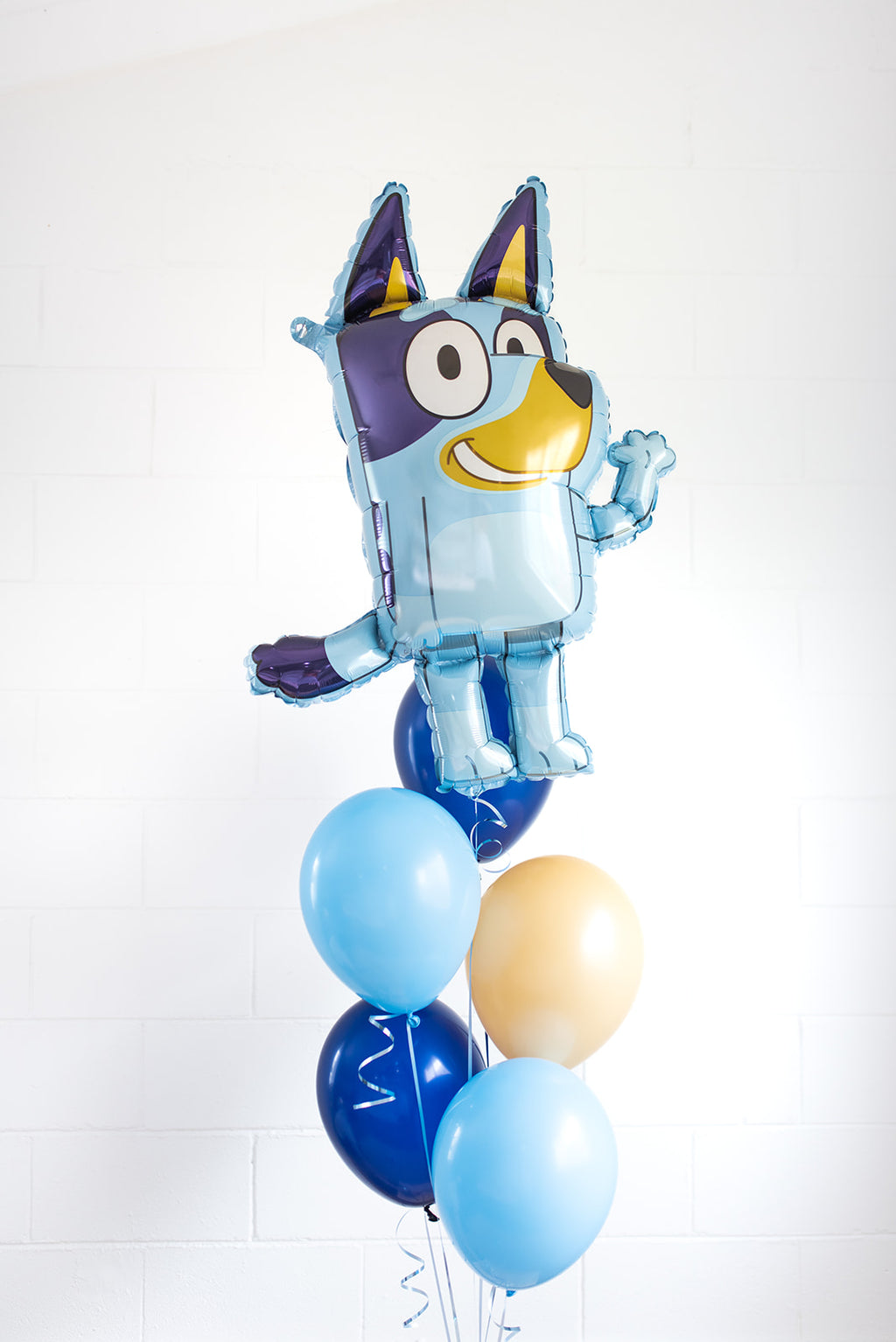 Bluey Balloon Bunch - INFLATED – BAM Party and Events